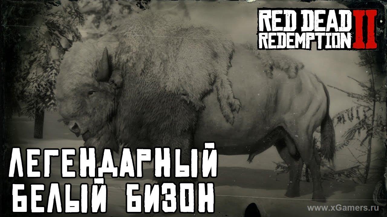 RDR 2 - Legendary Animals | Locations | Hunting tips